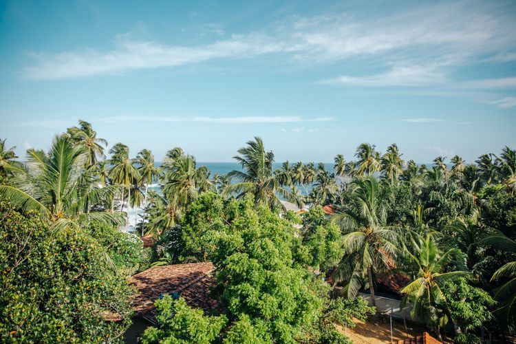 Isolabella Ayurveda Resort in Nilwella – book now for best rates!